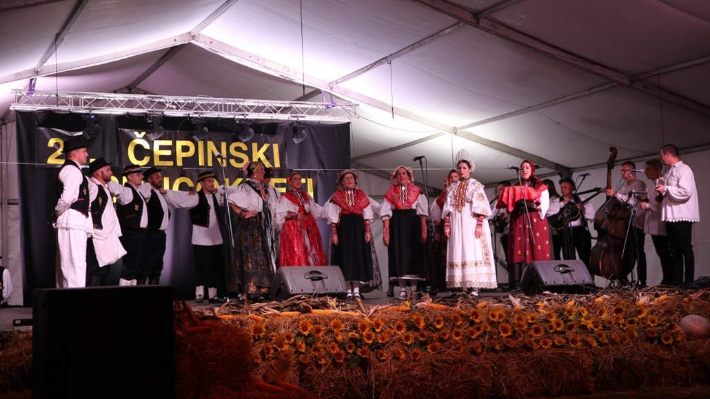 Uz bogat glazbeno-scenski program održani 20. Čepinski suncokreti ...
